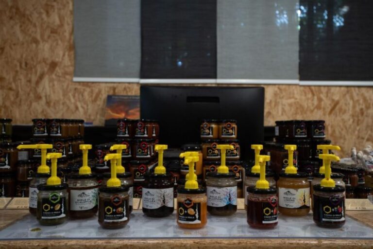 Catania: Etna Morning Excursion with Tasting and Pickup - Why This Tour Offers Great Value