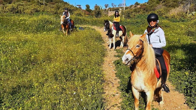 Catania: Guided Horseback Ride in Misterbianco Countryside - Who Will Love This Tour?