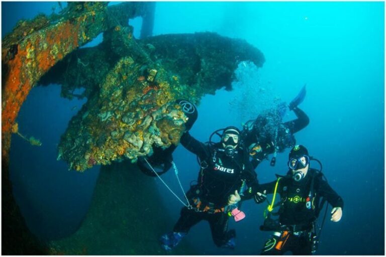 Catania: Gulf Scuba Diving Tour with Marine Biologist - An In-depth Look at the Gulf Scuba Tour
