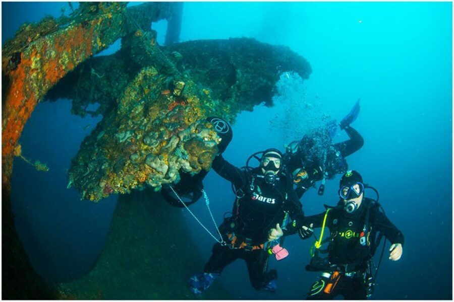 Catania: Gulf Scuba Diving Tour with Marine Biologist - An In-depth Look at the Gulf Scuba Tour