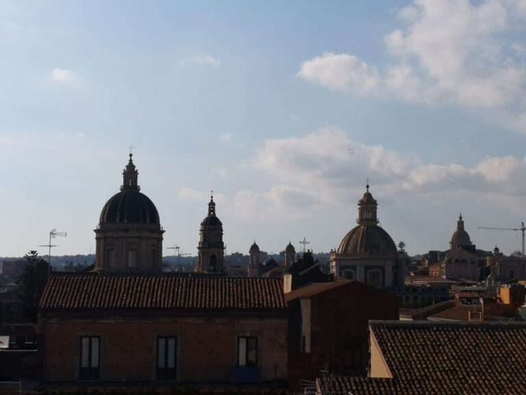 Catania: Heart of the City Guided Walking Tour - Practical Insights and Value