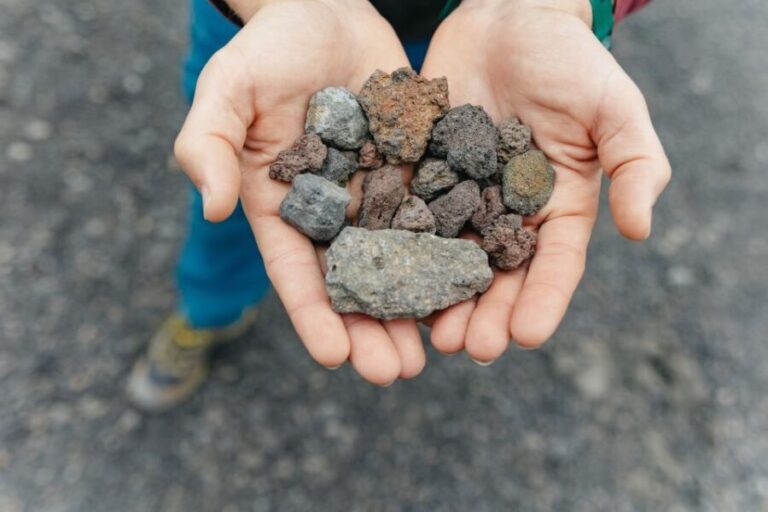 Catania: Mount Etna Morning or Sunset Day Trip with Tasting - Pricing and Value