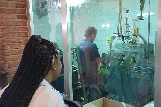 Cava tour to 3 family wineries with hotel pick-up - What Makes This Tour Stand Out