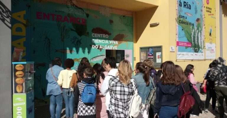 CCVAlgarve Individual Ticket - The Sum Up