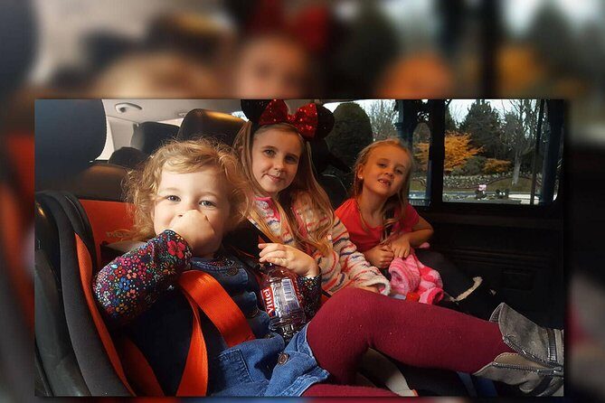 CDG - Euro Disney - CDG Two Way Private Shuttle Transfer - Vehicle Comfort and Safety