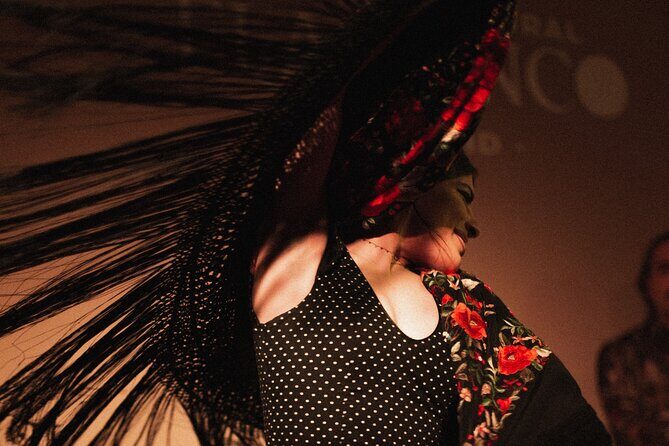 Centro Cultural Flamenco Madrid Admission Ticket - The Itinerary in Detail