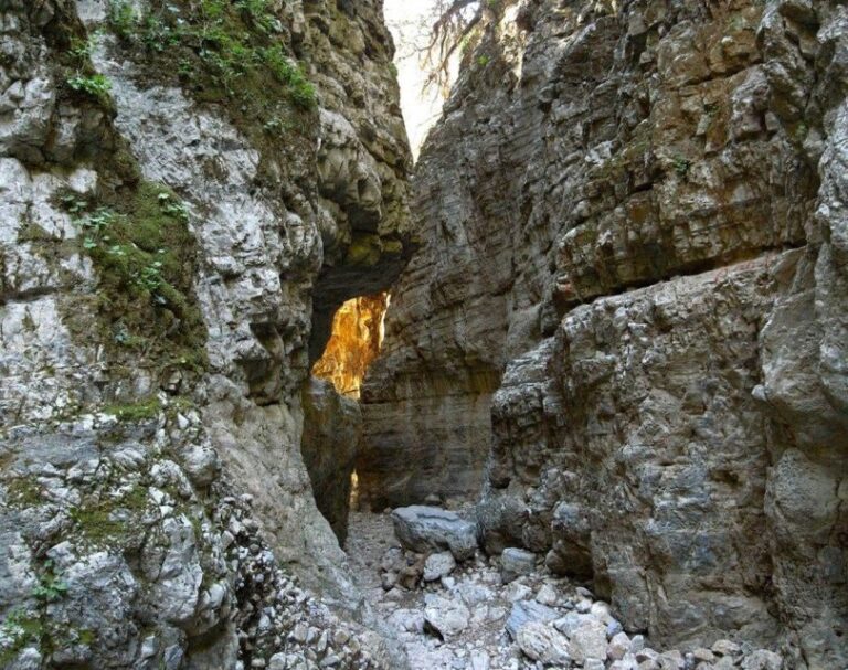Chania: Imbros Gorge and Libyan Sea Day Tour - Who Will Love This Tour?