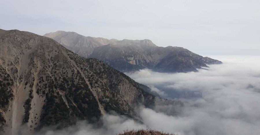 Chania: White Mountains Safari Tour with Lunch and Tastings - Why This Tour Offers Great Value