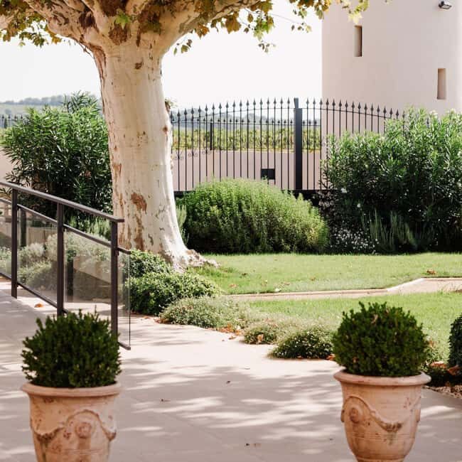 Châteauneuf-du-Pape: tour/tasting in the heart of Domaine Tour St Michel - What to Expect During the Tour