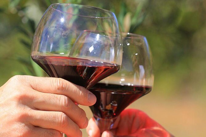 Châteauneuf du Pape Wine Day Tasting Tour including Lunch from Avignon - Transportation and Logistics