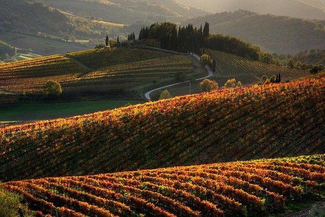 Chianti Half-day Wine Tour in the Tuscan's Hills from Pisa - The Practicalities