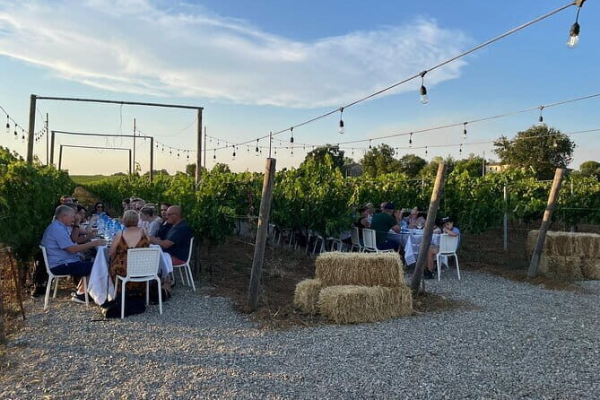 Chianti Wine Tour from Florence with Tastings - Value for Money and Practical Tips