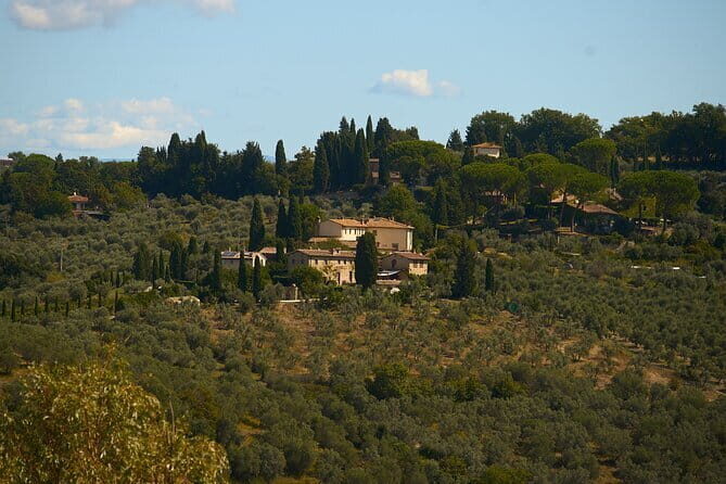 Chianti Wine Tour with Tastings Semi-Private Experience - FAQs