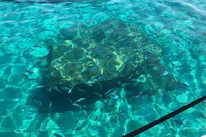 Coast of the Gods snorkeling tour: the best you can find. - Practical Insights: What You Need to Know