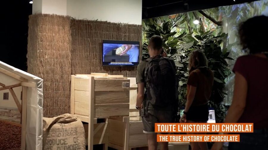 Colmar: Chocolate Museum Entrance Ticket - Who Is This Tour Best Suited For?