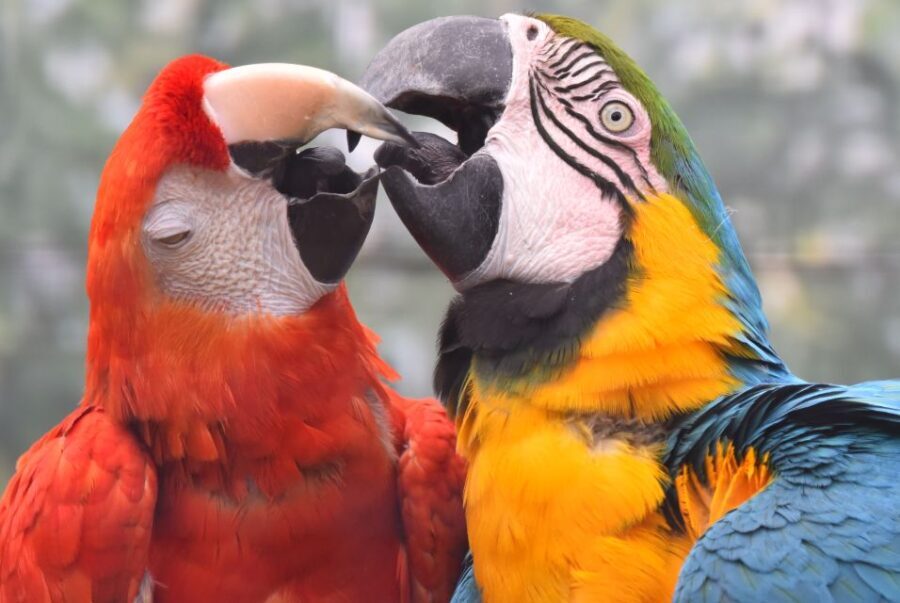 Cologne: Cologne Zoo and Aquarium Entry Ticket - Who Is This Zoo Best For?