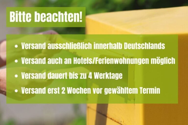 Cologne: Scavenger Hunt Self-Guided Tour - The Practicalities