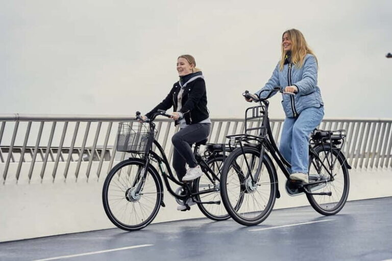 Copenhagen: Guided E-Bike Tour - The Experience: What You Can Expect