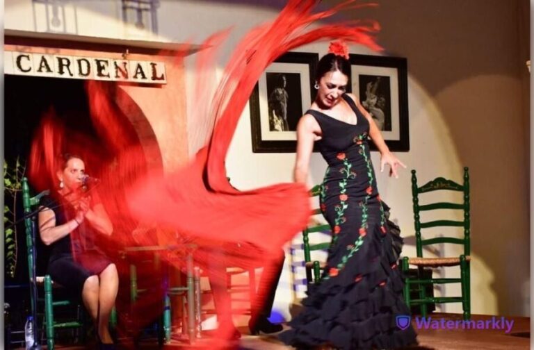 Córdoba: Flamenco Show Ticket with Drinks - What You Can Expect During the 80-Minute Show