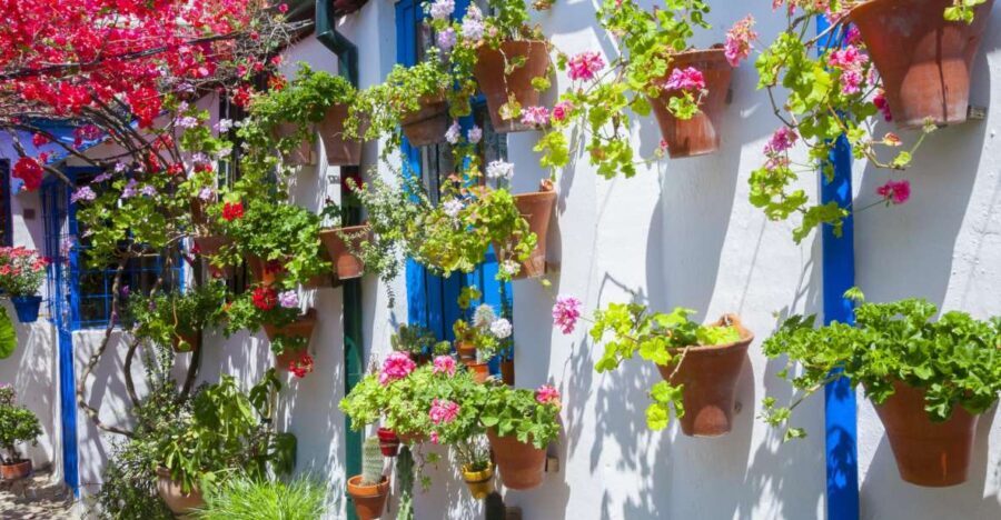 Cordoba's Authentic Patios: 2-Hour Tour with Tickets - How the Tour Works: Practical Details