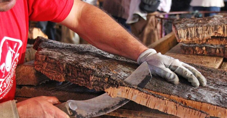 Cork Factory Tour - Who Should Book This Tour?