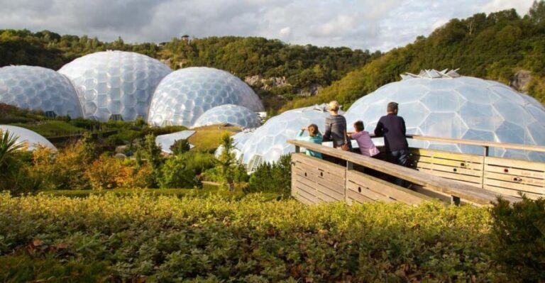 Cornwall: Eden Project Entry Ticket - Exploring the Biomes: Tropical and Mediterranean