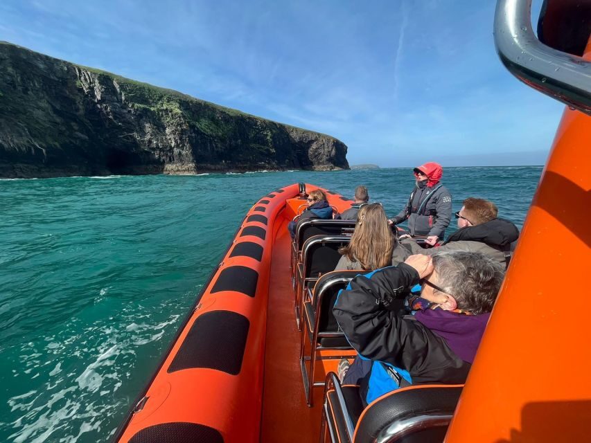 Cornwall: Guided Seal Safari by Boat - Practical Details and Tips