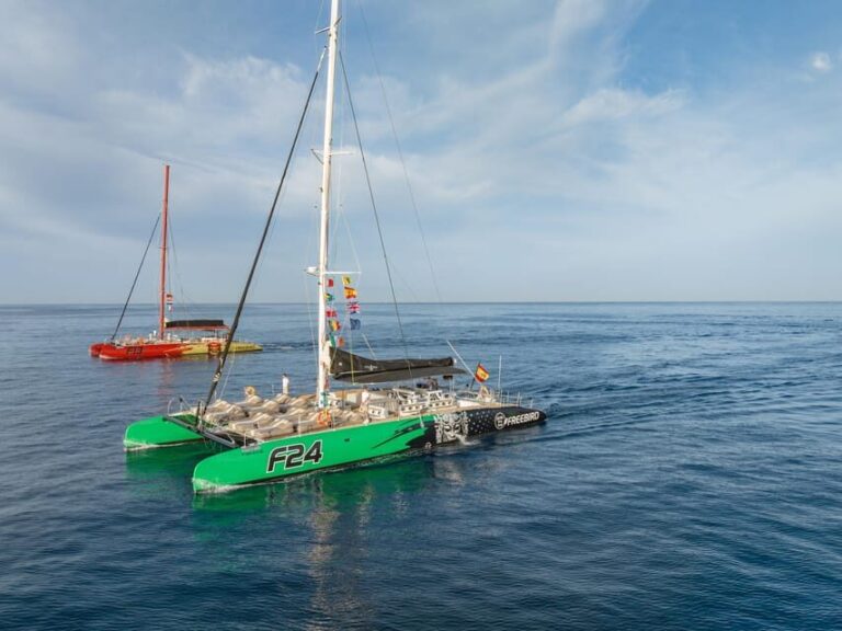 Costa Adeje: Masca and Los Gigantes Whale Watching Cruise - What’s Included & What’s Not