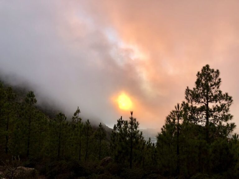 Costa Adeje: Tandem Paragliding Flight with Free Pickup - What Sets This Tour Apart