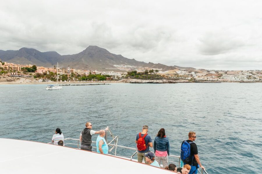 Costa Adeje: Whale & Dolphin Submarine Vision Mini Cruise - Final Thoughts: Who Should Book This Tour?
