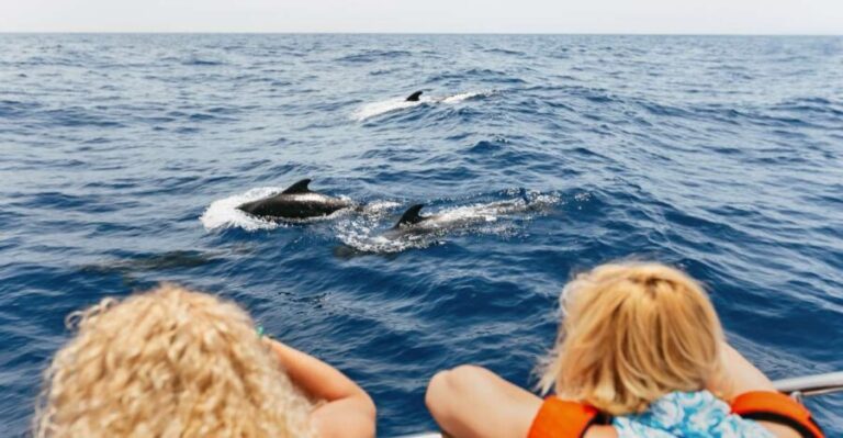 Costa Adeje: Whale Watching Catamaran Tour with Drinks - The Value & Practicalities