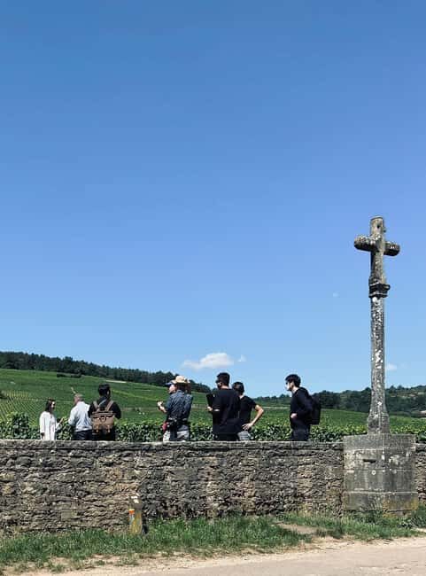 Côte de Nuits: Excursion in the heart of the vineyards - The Small Group and Flexibility