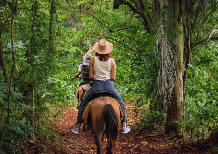 Cruseilles: Horseback Riding in the Countryside - Who Is This Tour Best For?