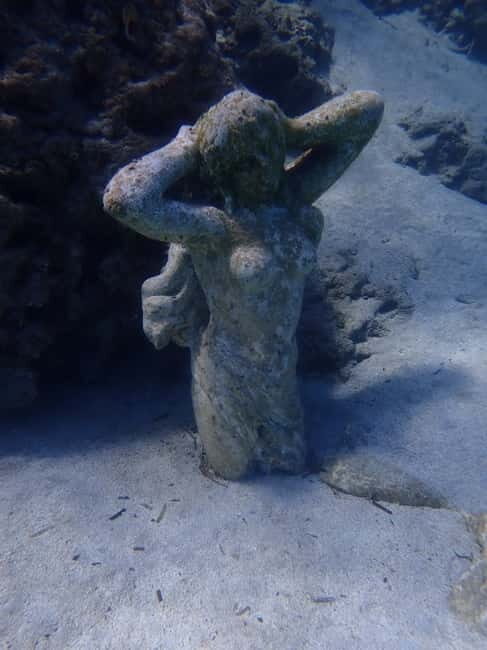 Cyprus: Introductory Scuba Lesson and Dive with Transfer - Why This Tour Is Worth It