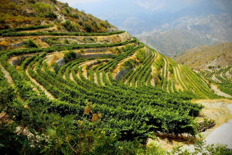 Cyprus: Troodos Mountain Wine Tour with a Local - Practical Details: What to Expect