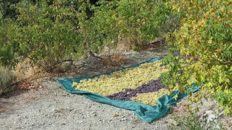 Cyprus: Troodos Mountains Villages and Wineries Tour - Final Thoughts: Is It Worth It?