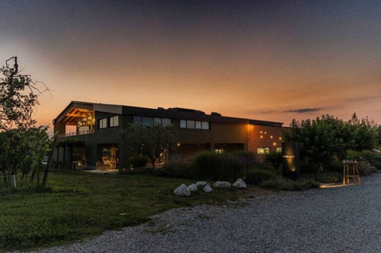 Desenzano: Lugana Wine-Tasting and Vineyard Tour - Detailed Breakdown of the Tour