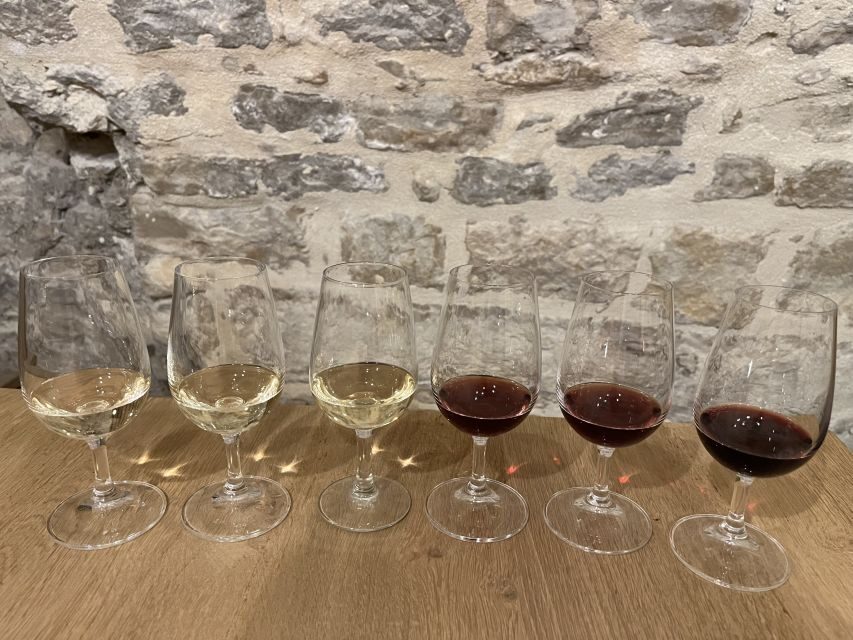 Dijon: Cheese and Burgundy Wine Tasting Workshop - What Reviewers Love Most
