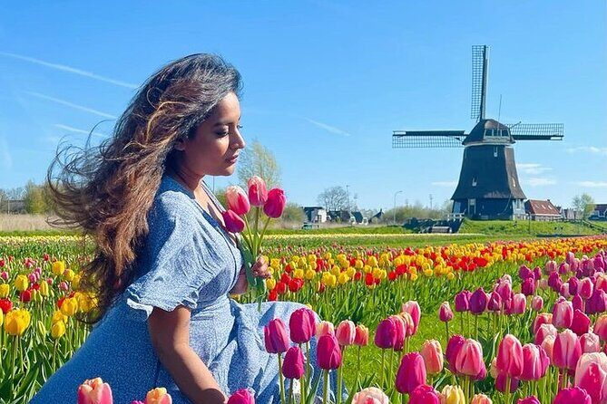 Discover Hollands Beautiful Tulip Fields with an Expert Guide - The Practicalities: What to Expect