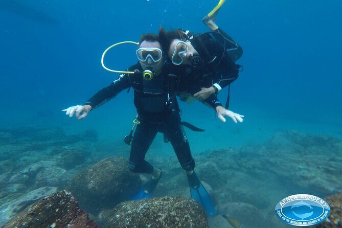 Discover Scuba Diving in Tenerife - Who Will Love This Tour?