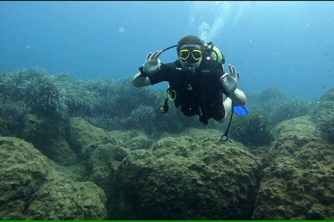 Discover SCUBA Diving with Pissouri Bay Divers - Why This Tour Offers Great Value