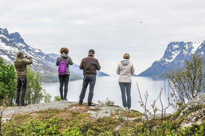 Discover the Fjords of Kvaloya - a roadtrip along fjords and fishing villages - What Makes This Tour a Great Choice