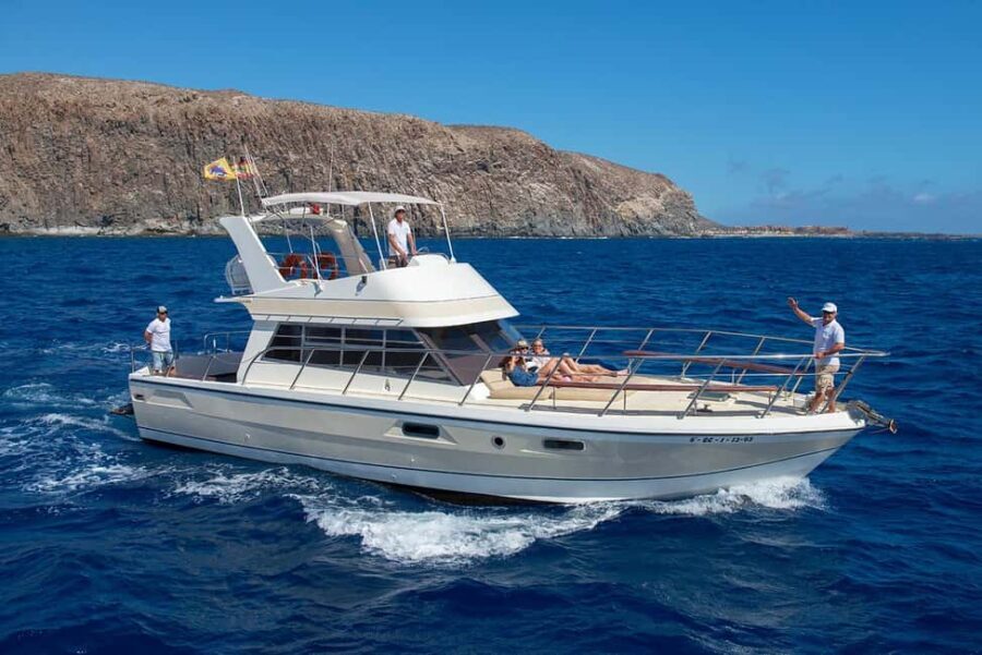 Discover whales in Tenerife: exclusive yacht tour with swim and lunch - Who Would Love This Tour?