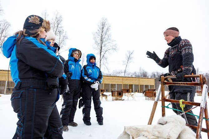 Dog Sledding: A Self-Drive Arctic Experience from Tromsø - The Authenticity & Ethical Considerations