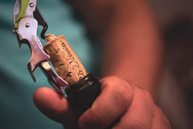 Dogliani: Tasting of 7 Wines in the Heart of the Langhe - Practical Details and What to Expect