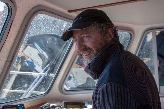 Dolphin and Whale Watching Tour from Dingle - Marine Wildlife and Bird Watching: What You Might See