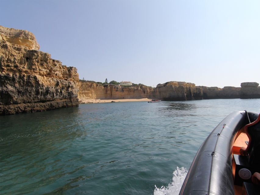 Dolphin Safari and Cave Tour in Vilamoura - What to Expect from the Tour