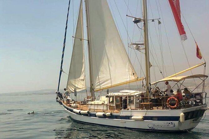 Dolphin Watching Adventure in Estepona Bay - What to Expect During the Tour