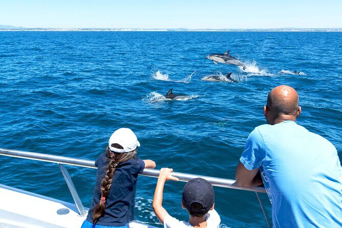 Dolphin Watching and Cave Boat Cruise from Albufeira - Things to Consider Before Booking