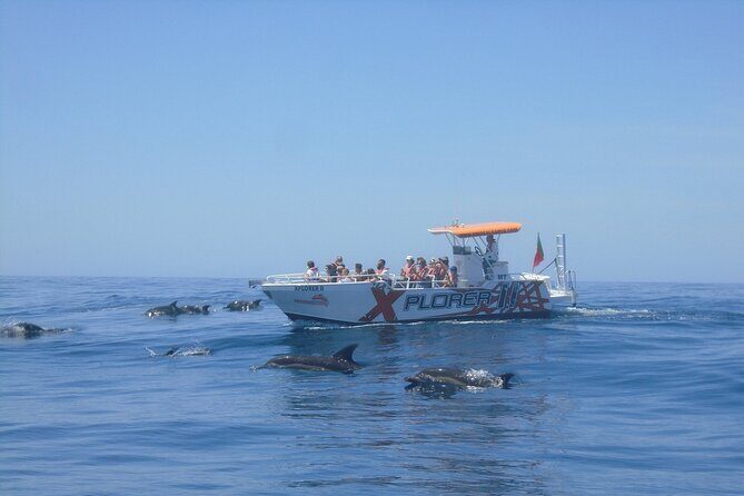 Dolphin Watching and Caves Cruise - The Sum Up: Is It Worth It?